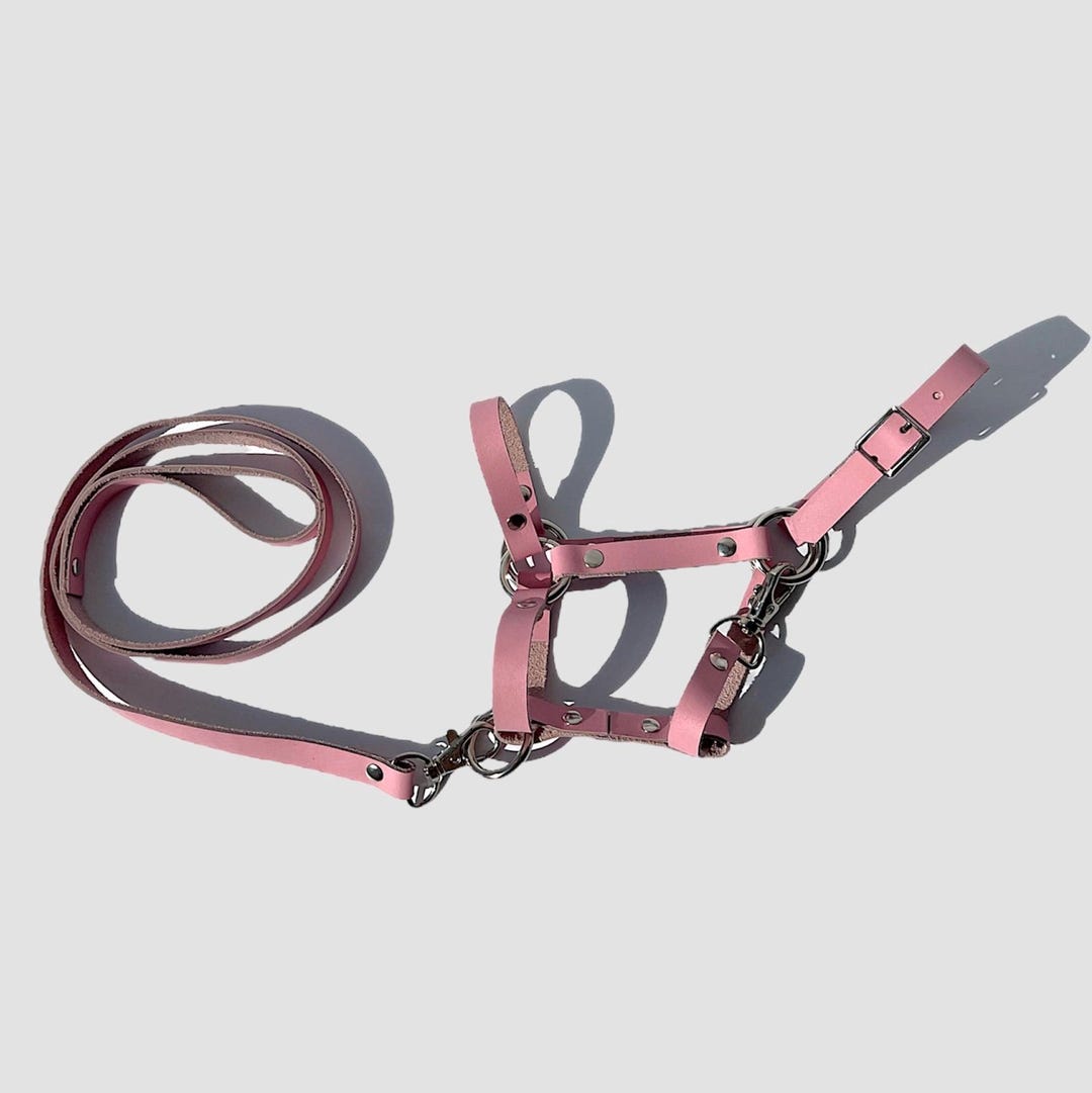 100% REAL LEATHER Hobby Horse Halter With Lead Rope pink Hobbyhorse ...