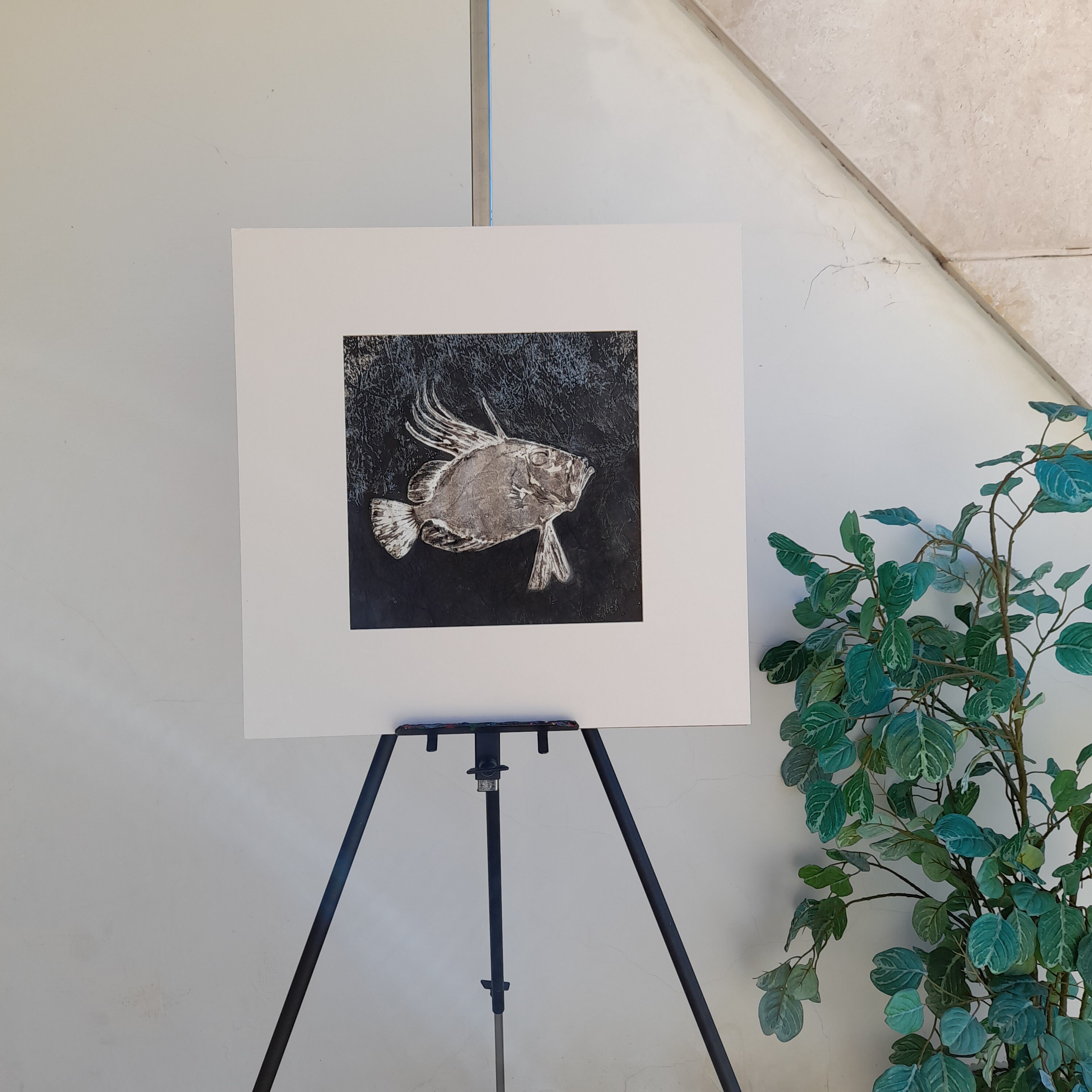 Original Gyotaku With Sepia Ink John Dori - Etsy