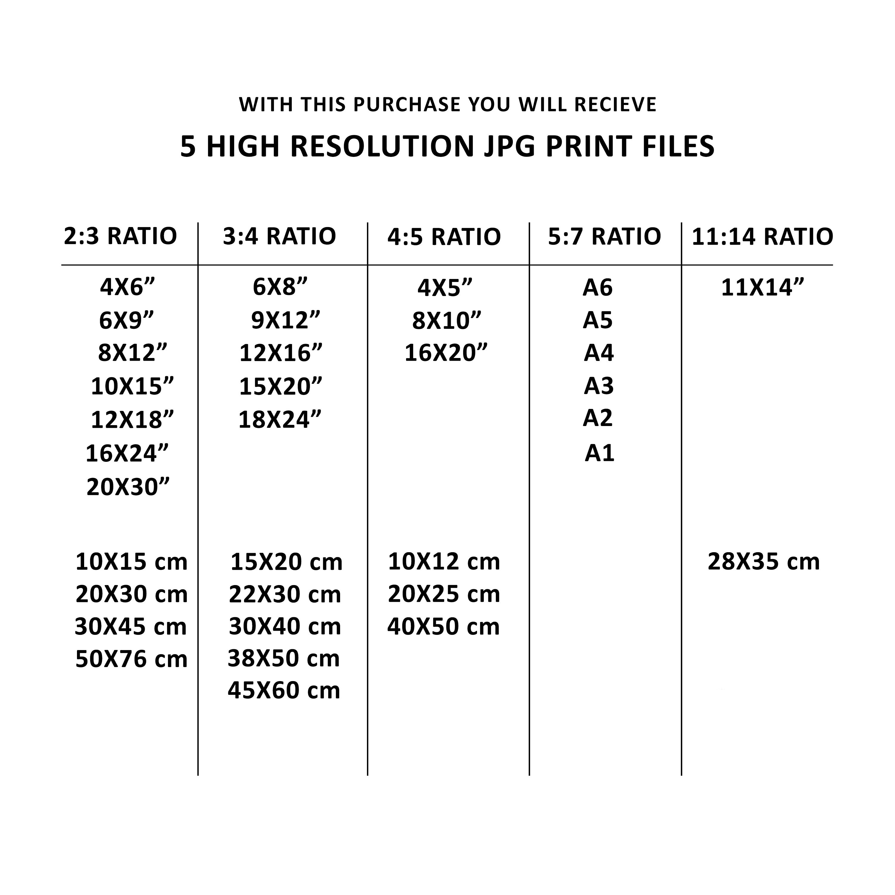 Line Drawing Digital Print Printable Wall Art Bee Wall Art | Etsy