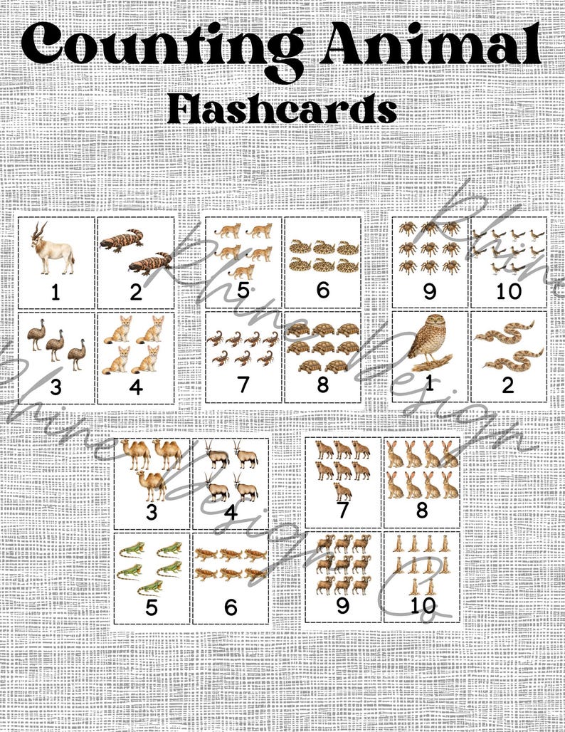 Desert Animal Flashcards Bundle | Montessori Learning Cards (PDF ...