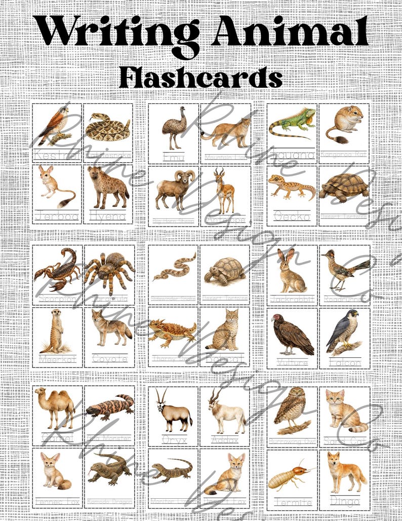Desert Animal Flashcards Bundle | Montessori Learning Cards (PDF ...