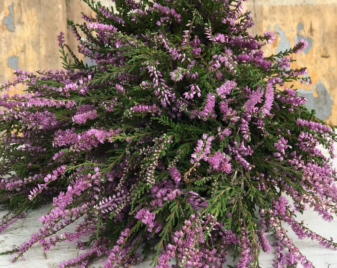 Heather Bouquet Dried Flower Bunch Dried Heather Flower Calluna ...