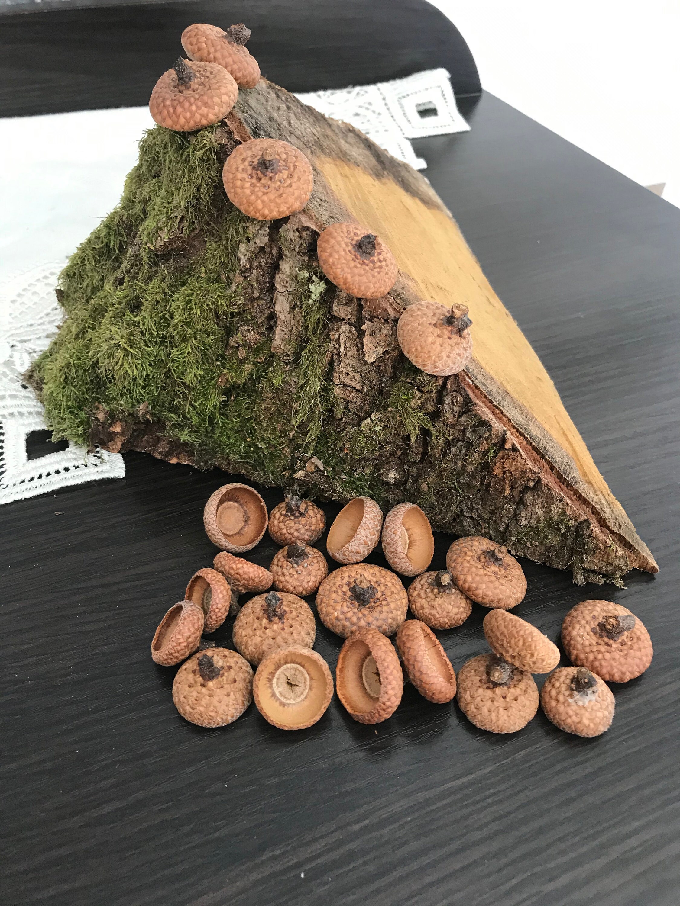 50 Dried Acorns Cap, Dried Acorns, Acorns With Caps, Dried Decor ...