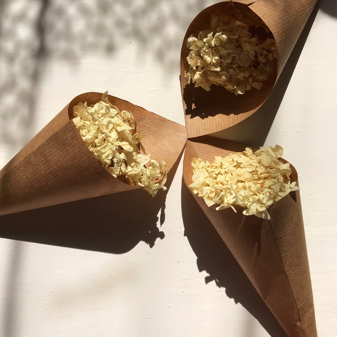 50 Wedding Cones Wedding Decor Rustic Wedding Confetti - Etsy