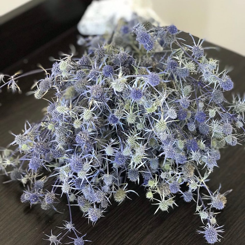 Blue Dried Flowers - Etsy