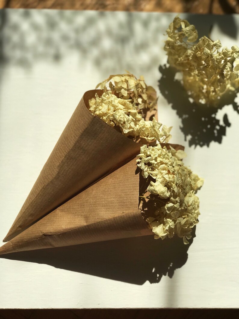 50 Wedding Cones Wedding Decor Rustic Wedding Confetti - Etsy