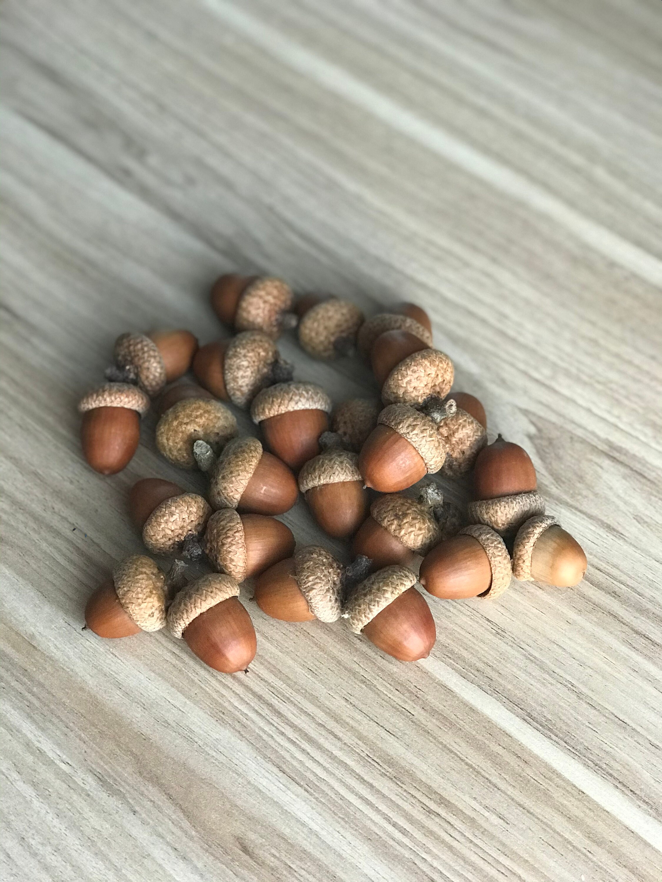 50 Cool Acorns Autumn Decor Home Decor Wonderful Material - Etsy
