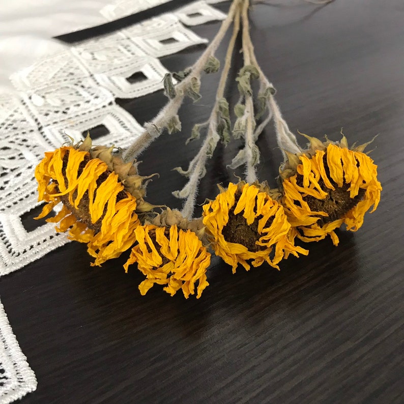 Dried Sunflowers - Etsy