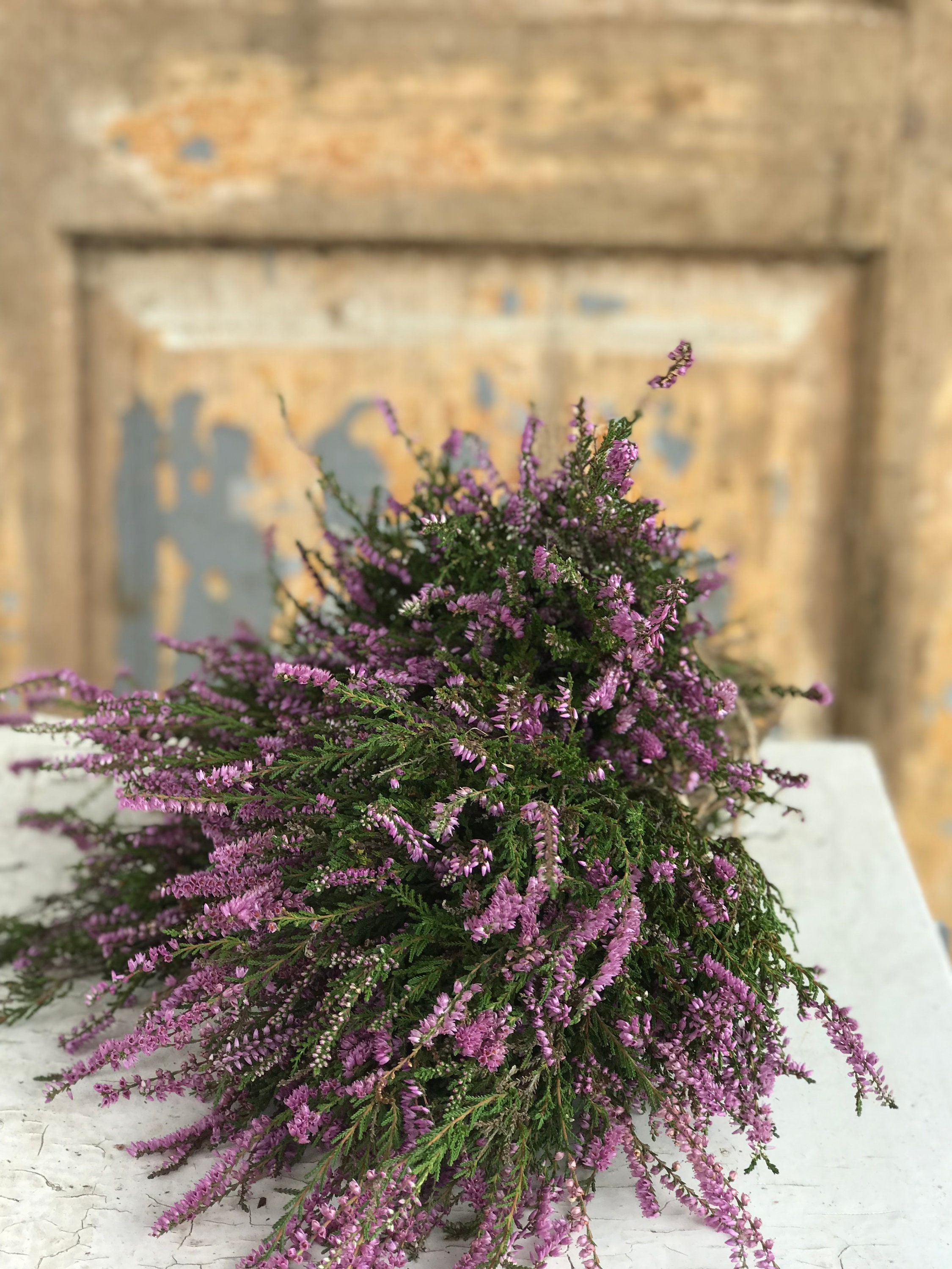 SET 3 Bouquet of Heather, Dried Purple Flowers, Bouquet of Purple ...