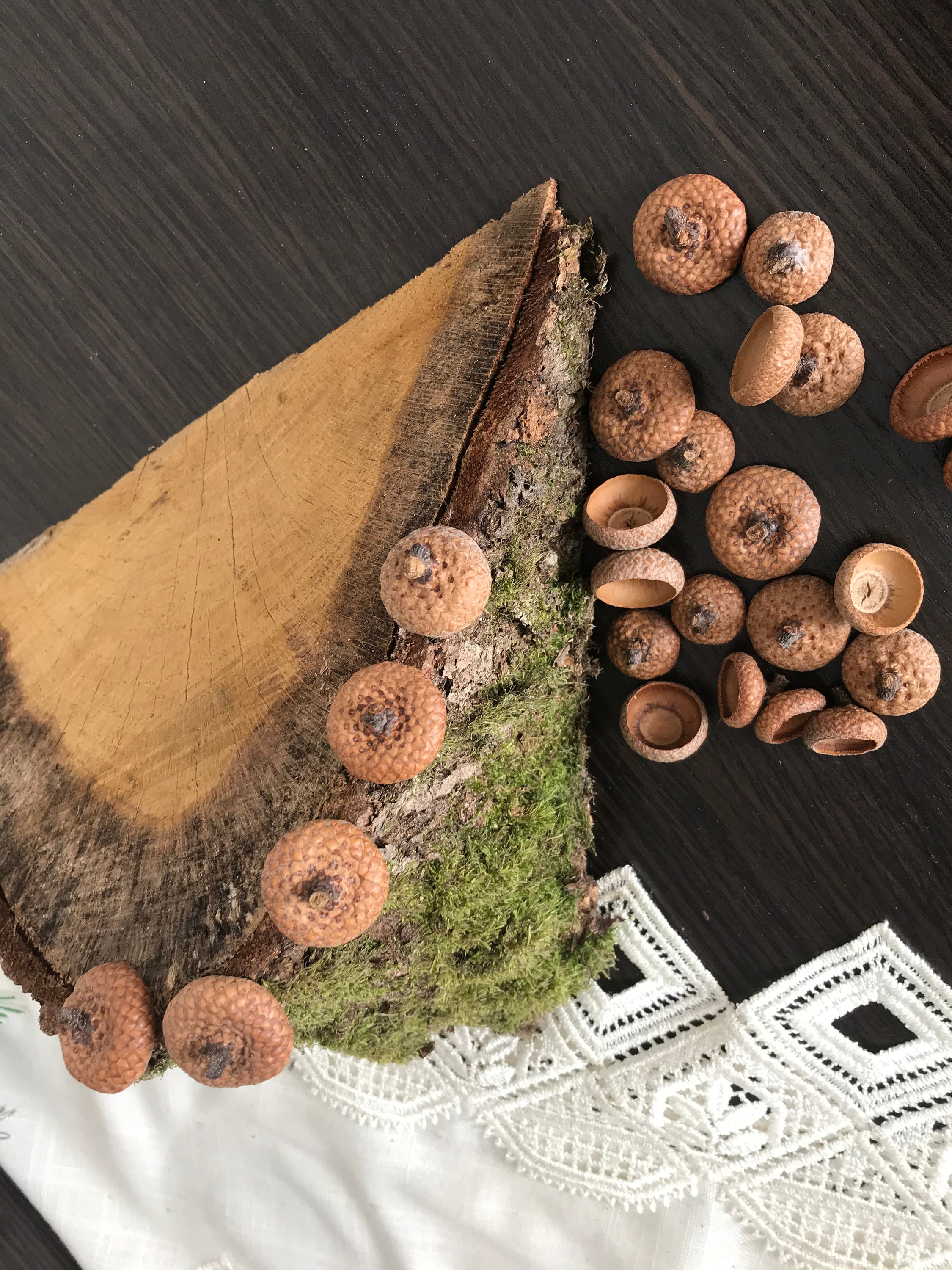 50 Dried Acorns Cap, Dried Acorns, Acorns With Caps, Dried Decor ...