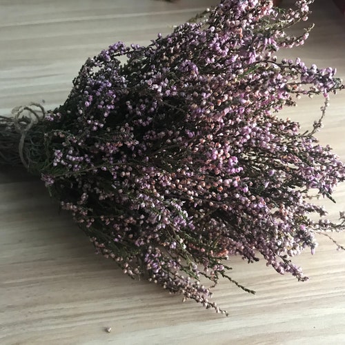 Bouque of Heather Dried Purple Flowers Bouquet of Purple - Etsy