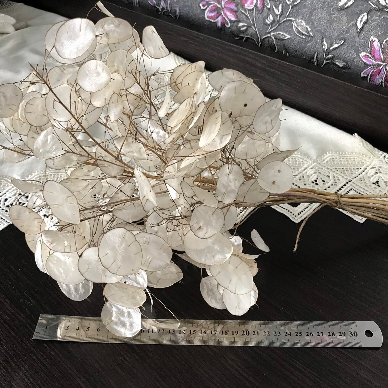 10 Lunaria Branches, Dried Money Plant, Lunaria Stems, Silver Dollar ...