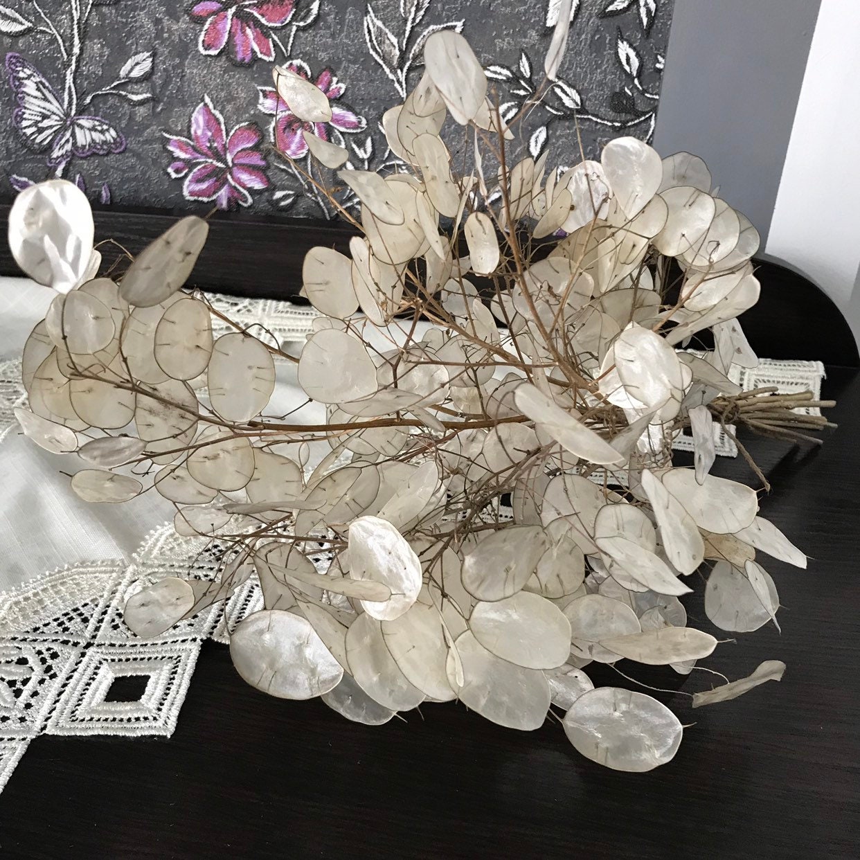 10 Lunaria Branches, Dried Money Plant, Lunaria Stems, Silver Dollar ...