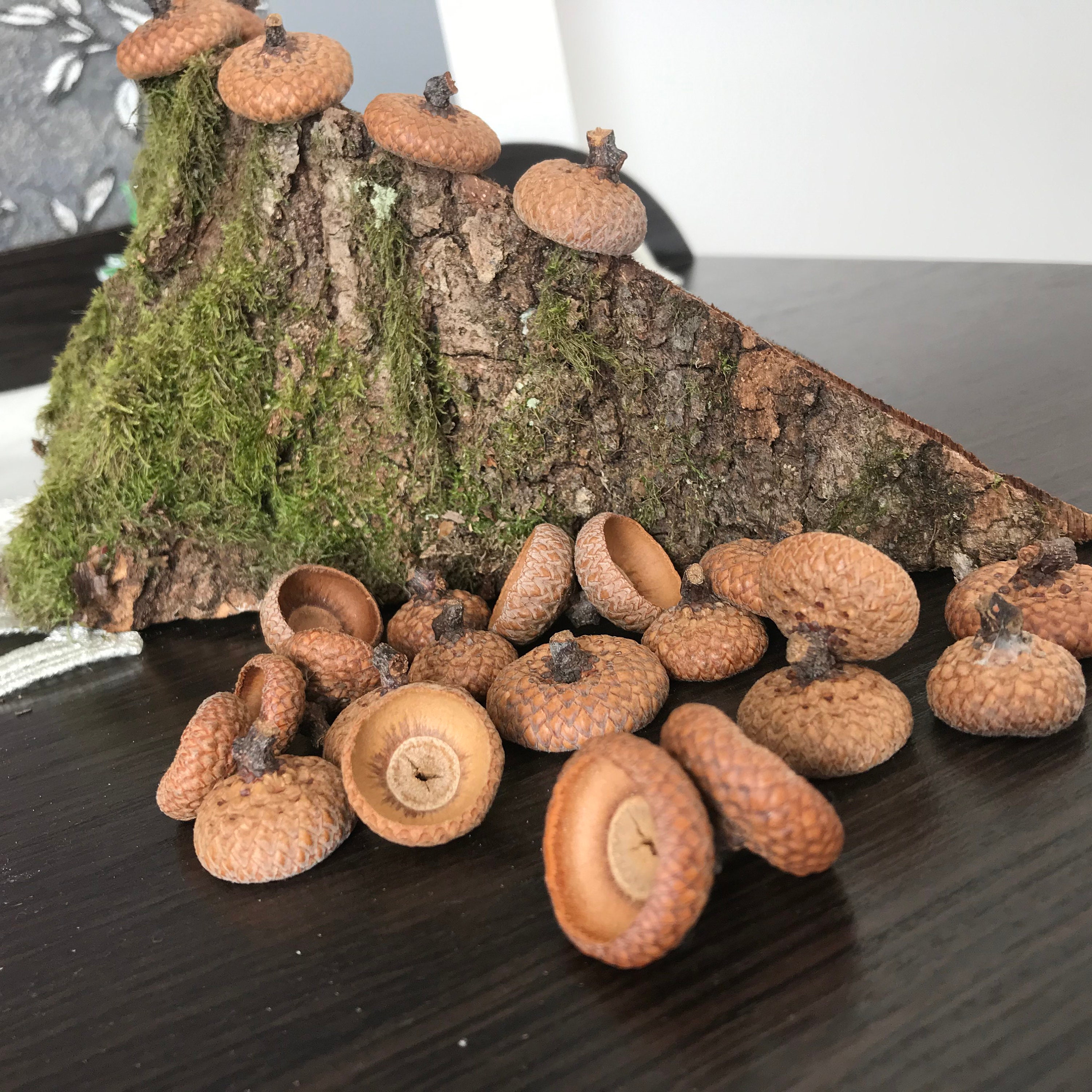 50 Dried Acorns Cap Dried Acorns Acorns With Caps Dried - Etsy