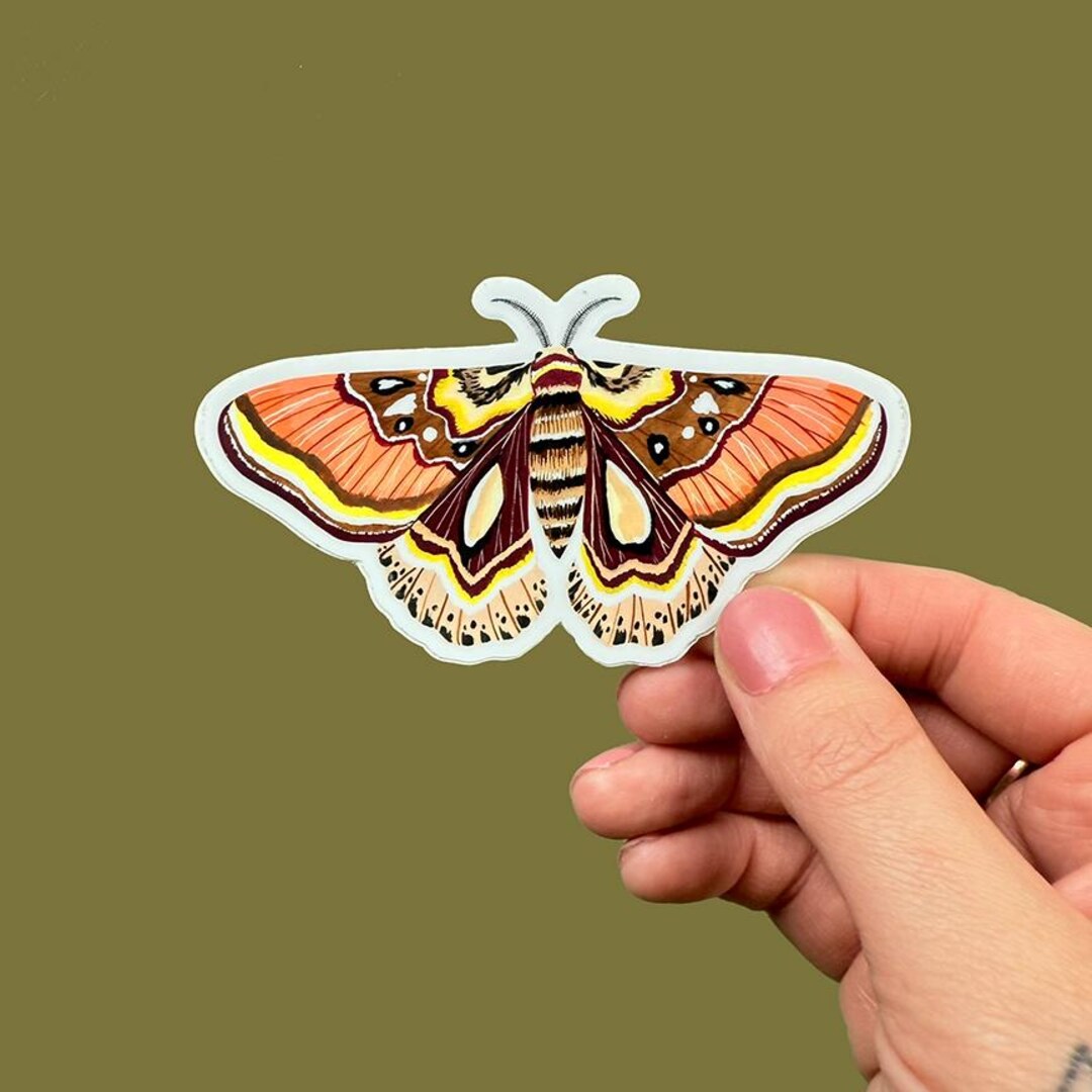 Moth Vinyl Sticker – Original Wildlife Art, Waterproof Decal - Etsy