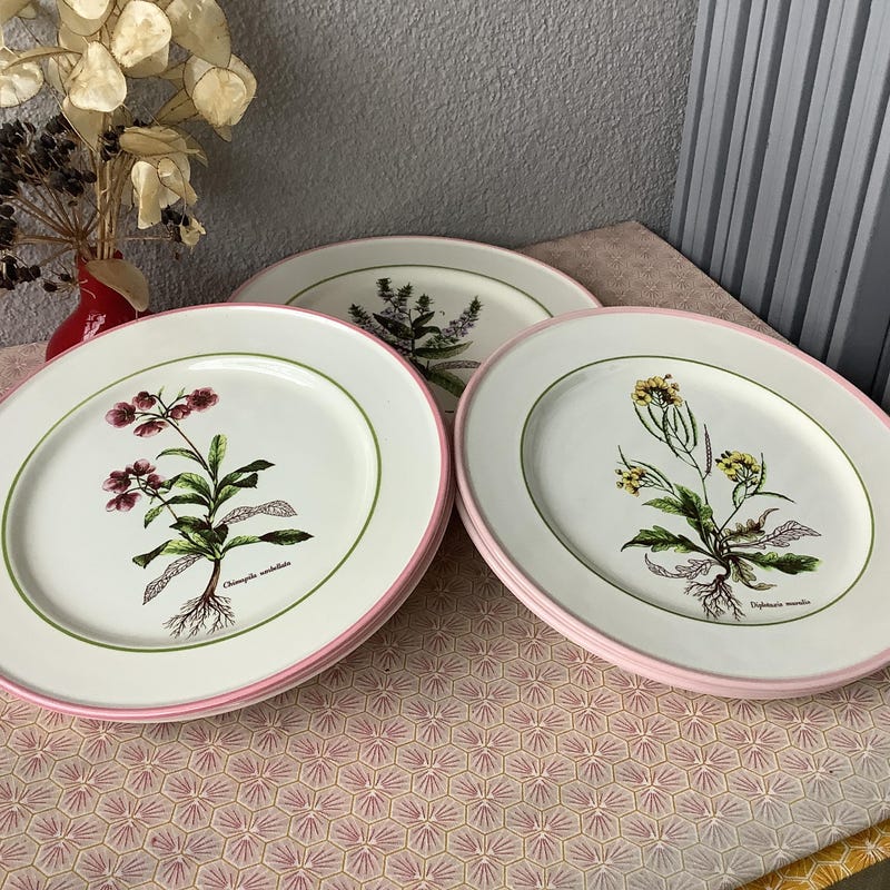 Botanical Plates - Etsy