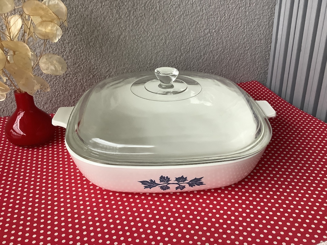 Pyroflam Glass Ceramic Dish Made in Netherlands Pf-12 Healthy Cooking ...