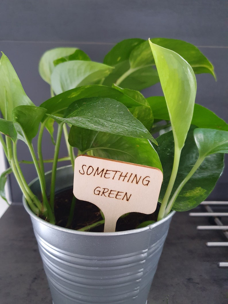 Something Green Plant Label - Personalised Wooden Plant Marker - Wooden ...
