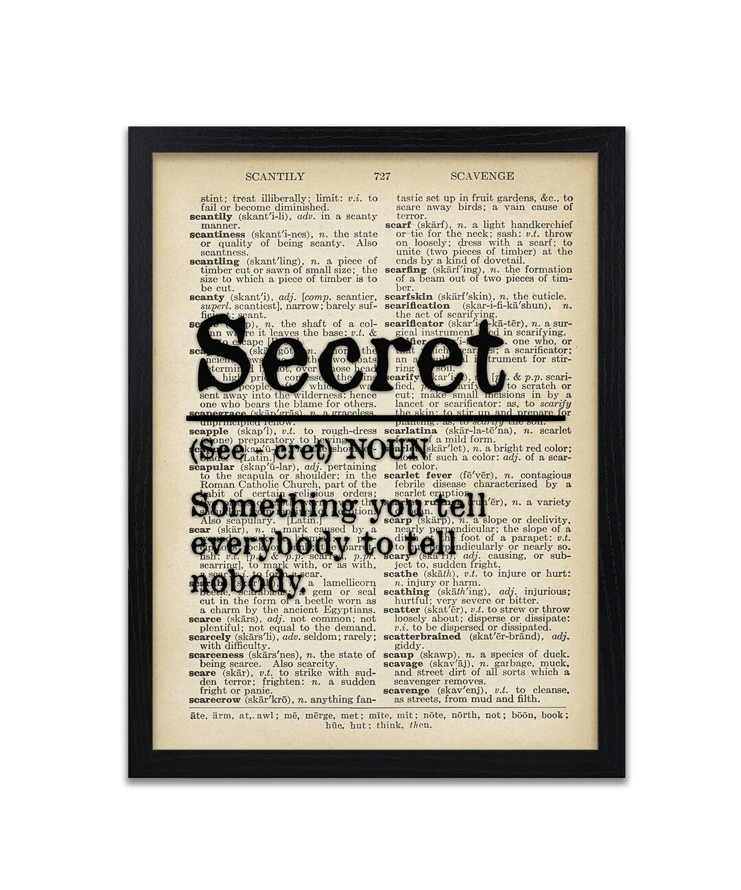 Secret Definition Secret Definition Funny Definition Print - Etsy