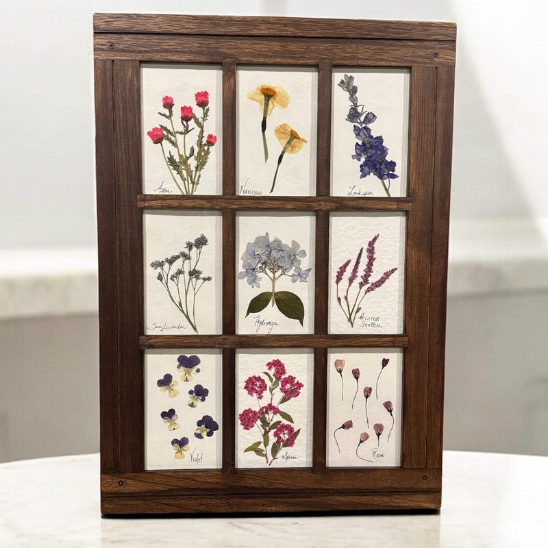 Herbarium Frame - Etsy