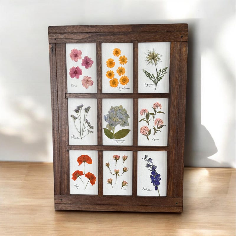 Herbarium Frame - Etsy