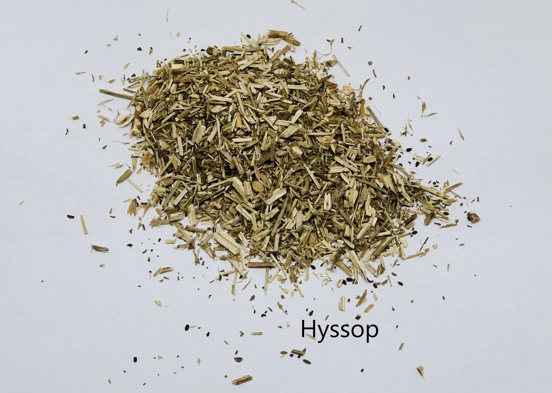 Hyssop Botanical Dried Herbs Natural Herbalist Natural - Etsy
