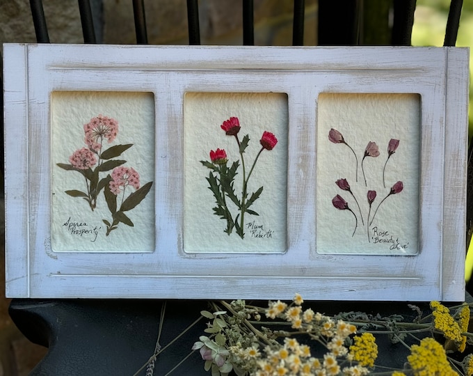 Pressed Flower Art, Real Pressed Botanicals, Botanical Art, Framed ...
