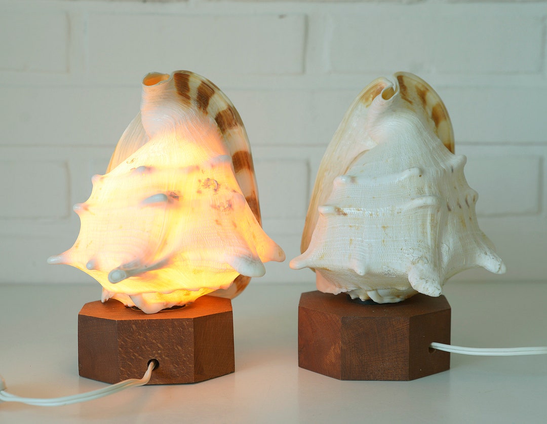 Vintage Bedside Lamps / Lake House Decor / Shell Rustic Fixtures ...