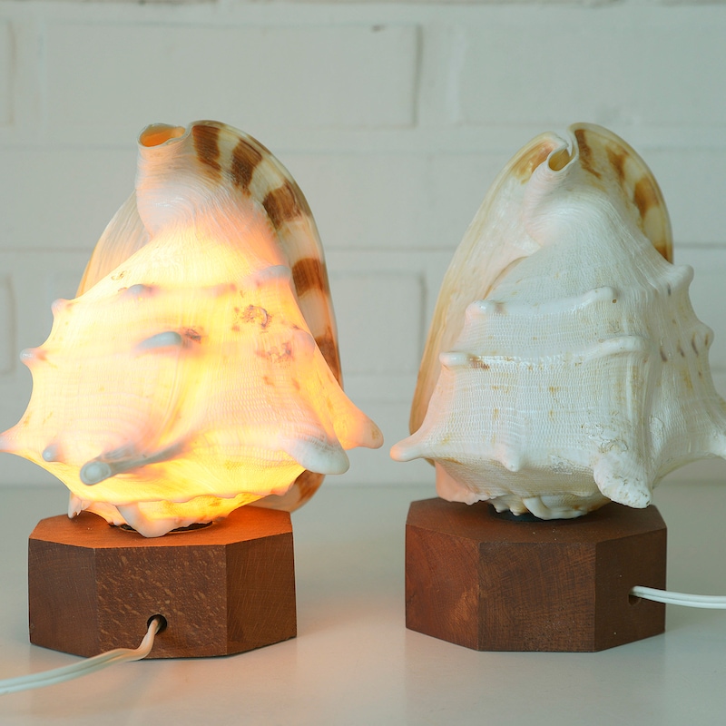 Seashell Lamps - Etsy