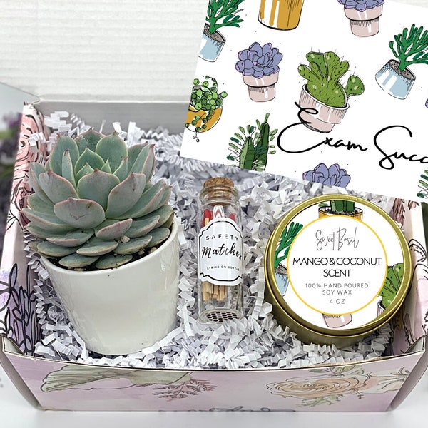 Exam Survival Kit - Etsy