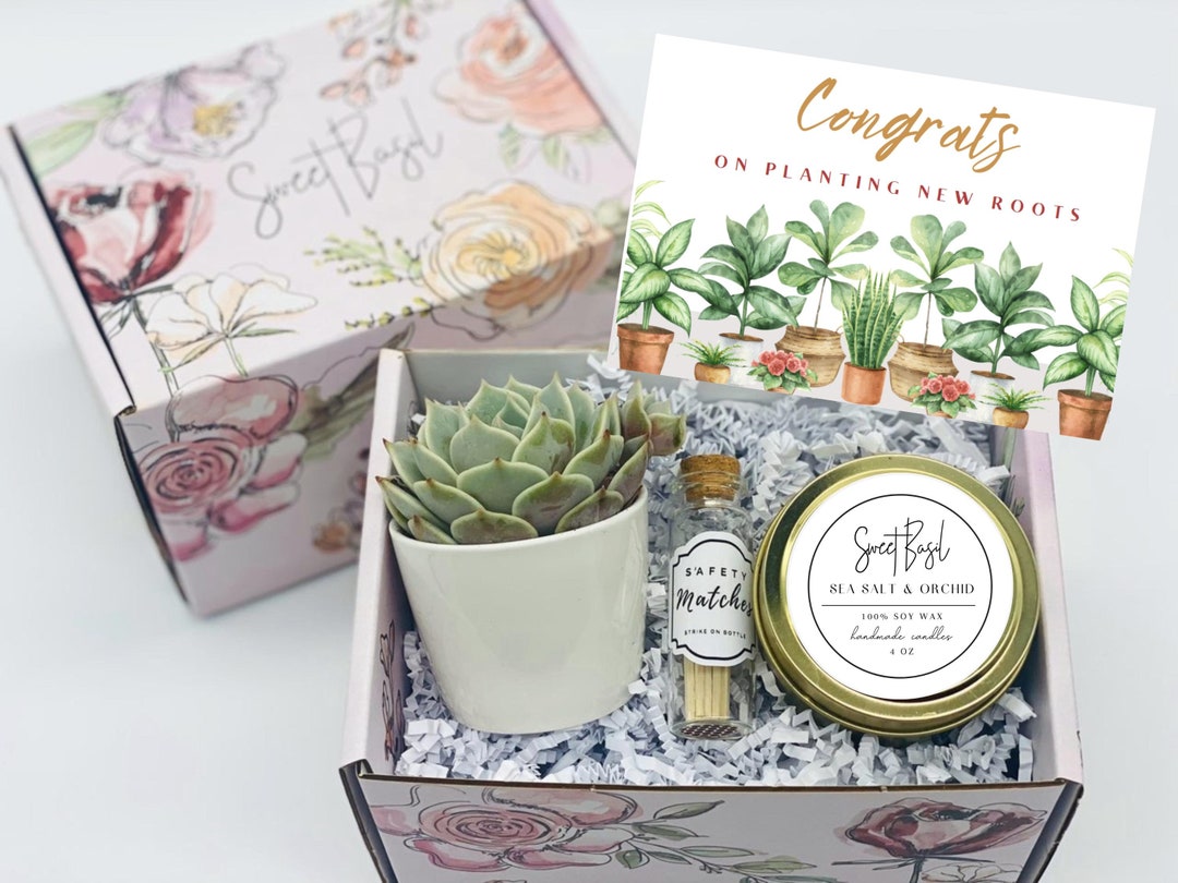Succulent Gift Box: Housewarming New Home Gift - Etsy