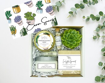 Exam Survival Kit Care Package for Students - Etsy