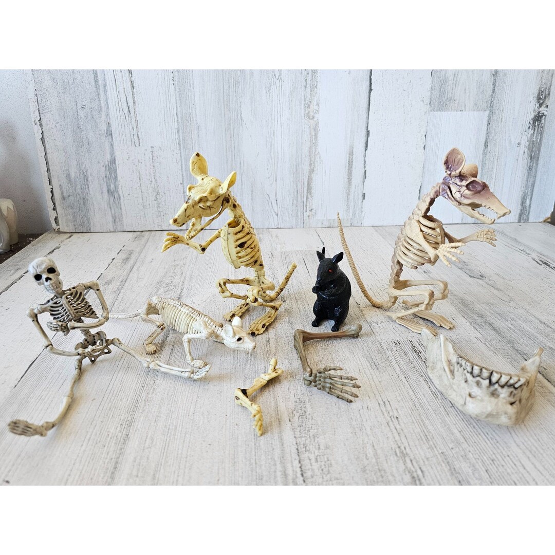 Skeleton Set Rat Mice Mouse Mandible Halloween Prop Decor Mini - Etsy