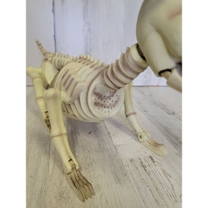 Gemmy AS IS Boney Barney Skeleton Halloween Dog Prop - Etsy
