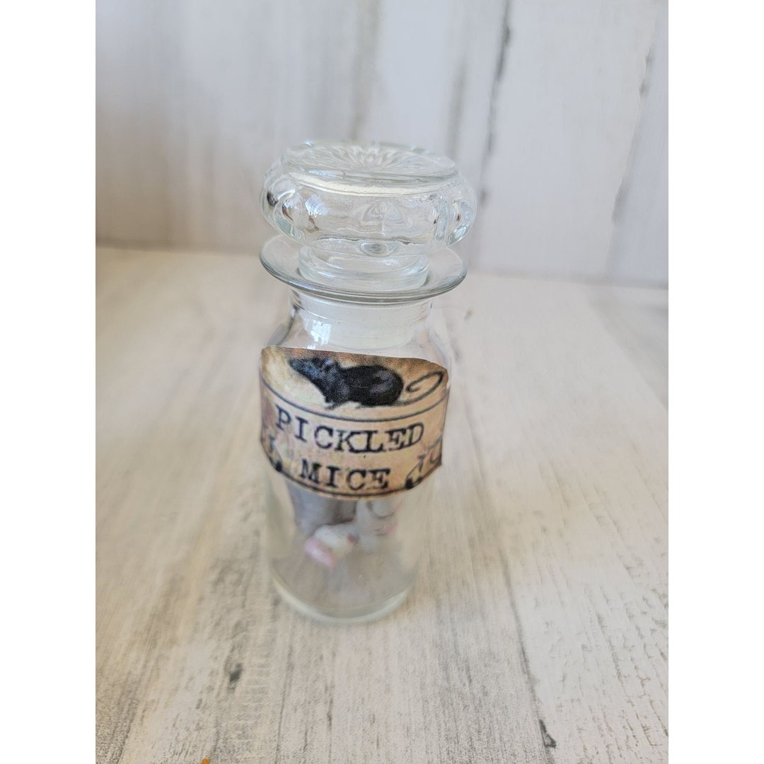Witch Potion Ingredients Pickled Mice Scary Halloween Bottle Prop Decor ...