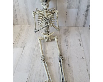 Scary Skeleton Prop - Etsy