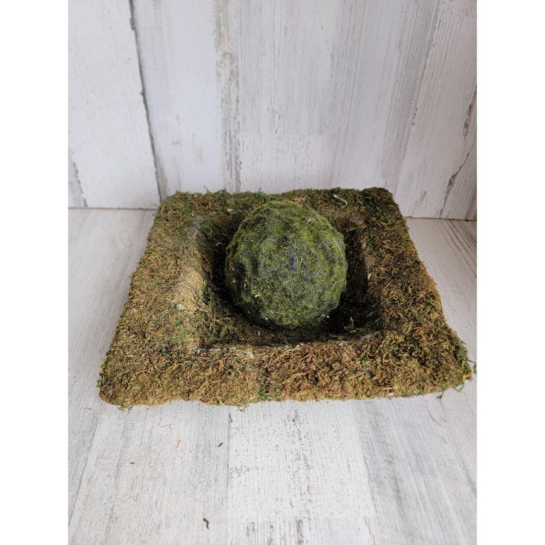 Unique Moss Egg Nest Tray Easter Spring Decor Vintage Set Outdoor - Etsy
