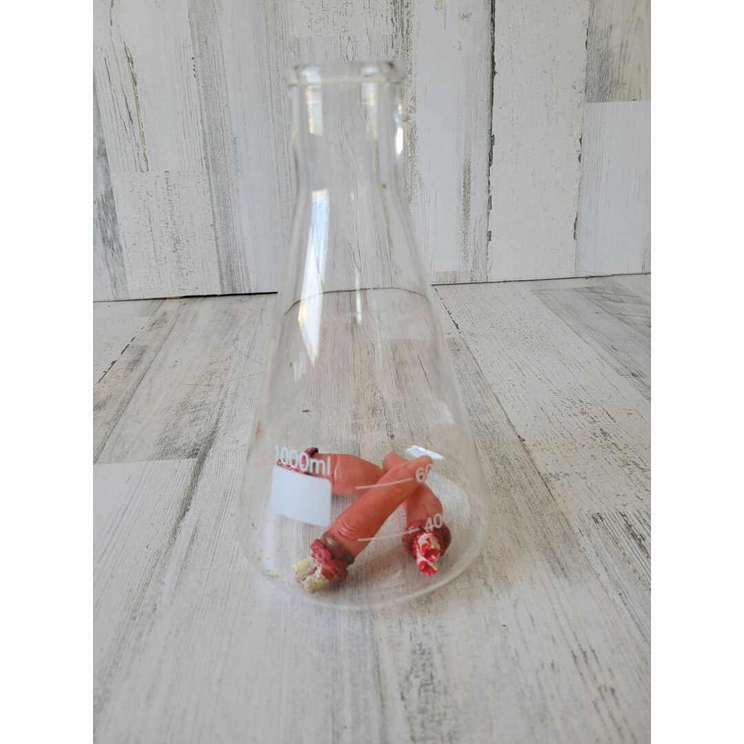 Halloween Lab Beaker Finger Prop Home Decor - Etsy