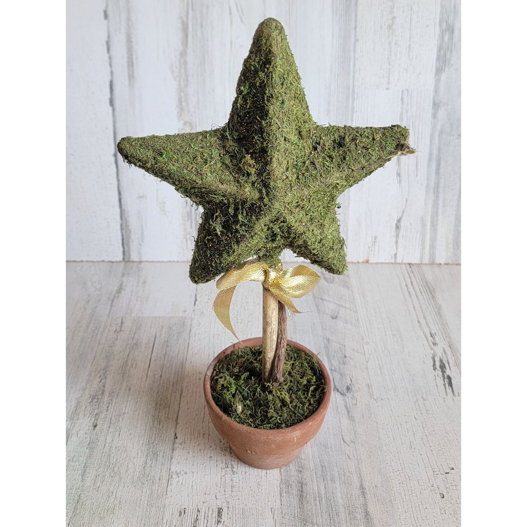 Unique Star-shaped Bush Plants Home Decor Pot Garden Bow - Etsy