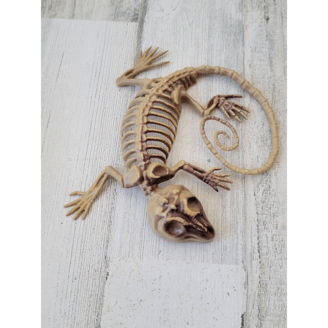 Skeleton Lizard Iguana Halloween Pop Decor Toy - Etsy