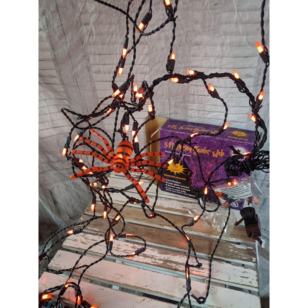 Walgreens Sample Halloween Light up Spider Web String Halloween Decor ...
