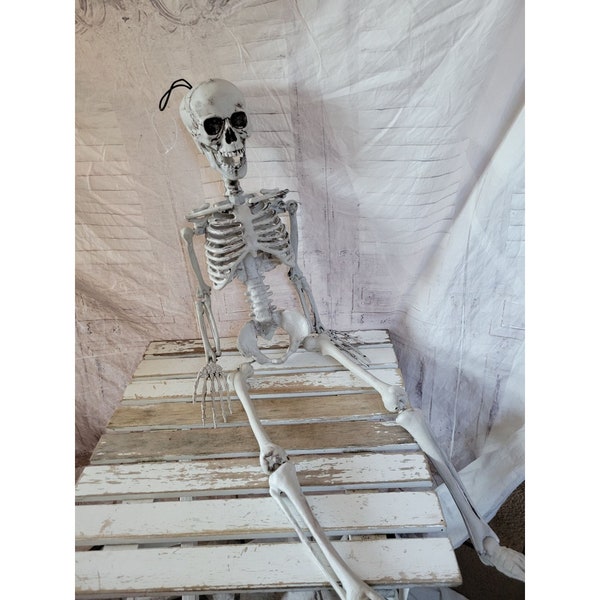 Hanging Skeleton - Etsy