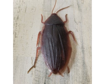 Fake Bug Prop - Etsy