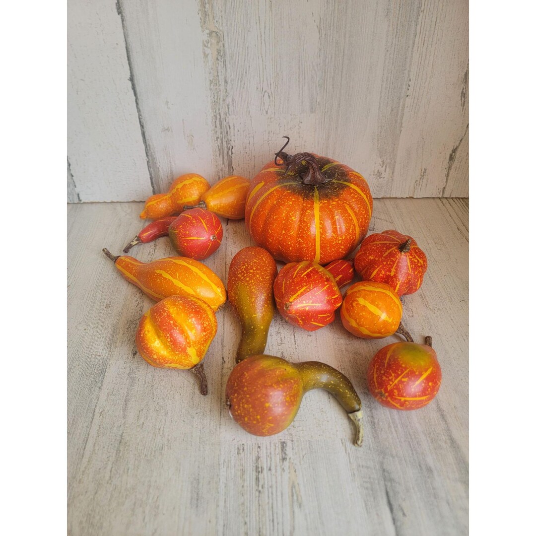 Realistic Pumpkin Gourds Squash Fall Home Decor Set - Etsy