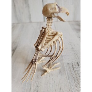 Greenbrier Skeleton Mini Bird Crow Halloween Prop Decor - Etsy