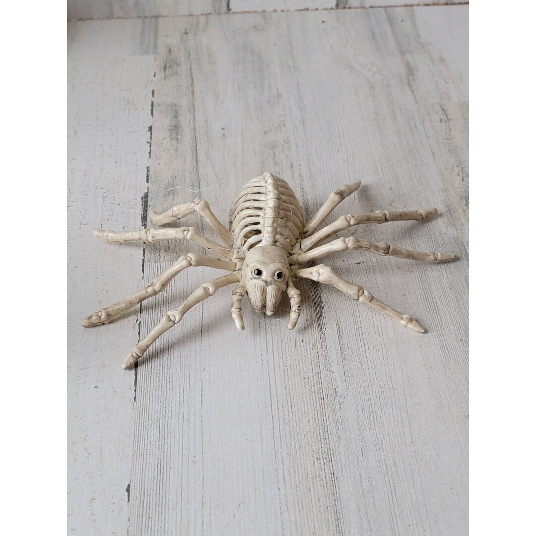 Skeleton Spider Tarantula Life-size Scary Halloween Prop Decor - Etsy