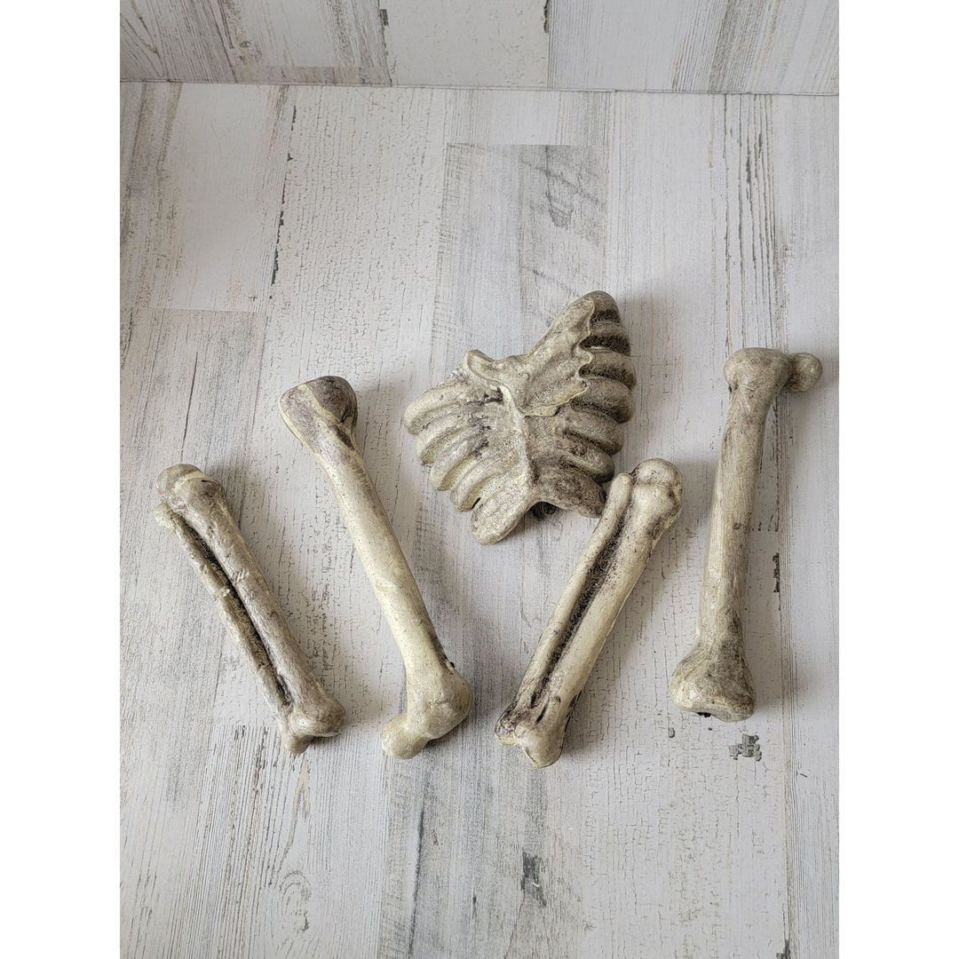 Halloween Styrofoam Skeleton Bones Rib Cage AS IS Set Decor - Etsy