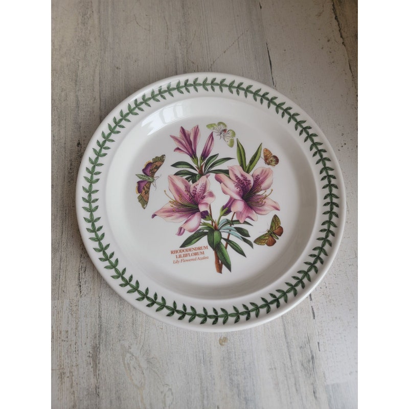Botanical Plates - Etsy