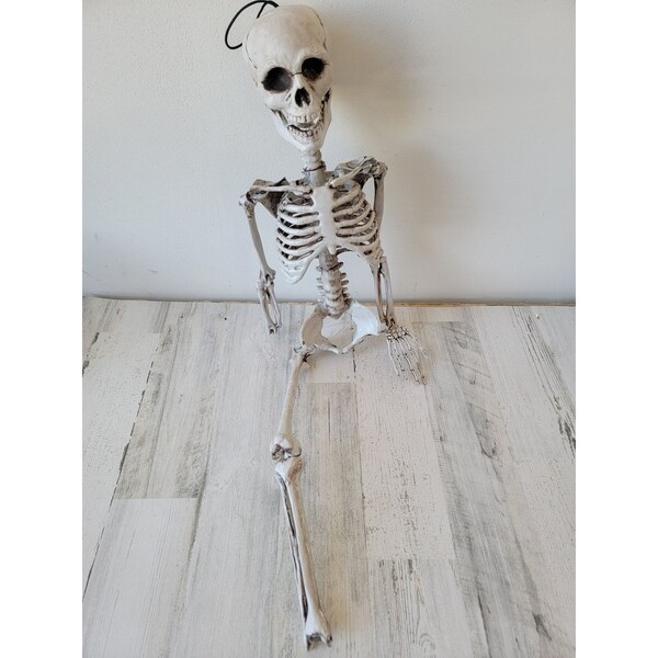 Halloween Skeleton Prop - Etsy