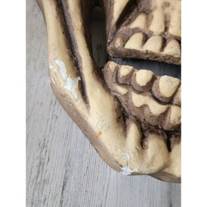 Large Styrofoam Scary Skull Wall Mount Face Home Decor Halloween Prop ...